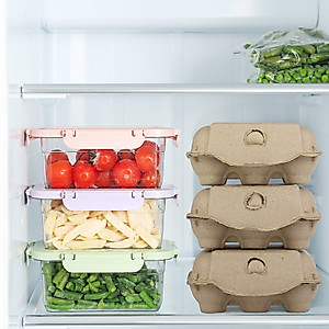 ADXCO 24 Pack Paper Egg Cartons Easter Reusable Egg Storage Natural Pulp Egg Cartons for Chicken Eggs Bulk Blank Egg Container Holds 6 Eggs For Storing Fresh Pasture Raised Eggs