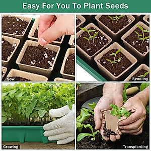 Hahood 6 Pack Seed Starter Tray Kit with 120 Square Peat Pots for Seedlings, Including Plants Labels, Planting Tools, Growing Trays Plastic Germination Tray Paper Starter Pods for Plant Seeds, Green