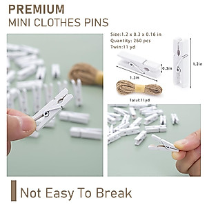 260Pcs White Mini Clothes Pins for Photos, Small Clothes Pins with Jute Twine, Clothespins, Wooden Clothes Pins for Crafts DIY Project