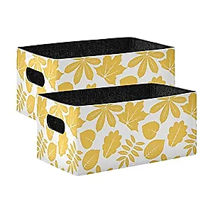 Qilmy Thanksgiving Storage Bin for Shelves Sturdy Storage Baskets Set of 2 Decorative Storage Bins Organization with Handles for Shelves,Closet,Nursery,Book,Toy