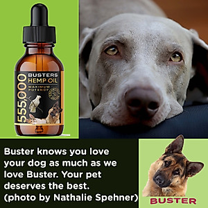 K2xLabs Buster's Organic Hemp Oil for Dogs and Pets, 4PACK-8MTH-supply, 555,000 Max Potency, Large 60ml Bottle, Made in USA - Miracle Formula, Perfectly Balanced Omega 3, 6, 9 - Joint Relief, Calming