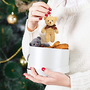 Skylety 24 Pcs 4.7 Inch Mini Bear Toy Tiny Bears Doll Bulk Multicolor Soft Plush Stuffed Animals Small Bears for Keychain DIY Craft Baby Shower Birthday Valentine's Day Gifts