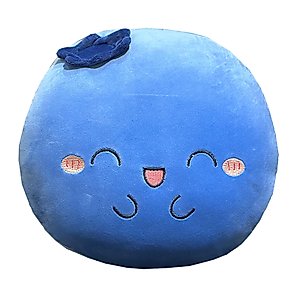 Goylmc Blueberry Plush Pillow, Fruit Stuffed Animal, Food Plush Pillow with Hand Pocket, Gift for Kids Adults (12.9 * 12.2in)