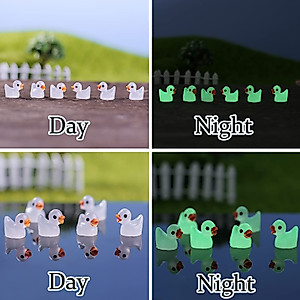 WINMIND 100Pcs Luminous Little Duck Miniature Garden Statue Glow in The Dark Resin Duck Micro Landscape Dolls for Gnomes Garden Glow Accessories Outdoor Patio Lawn Yard Decoration