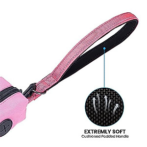 EXCELLENT ELITE SPANKER Strong Durable Nylon Dog Training Leash Traction Rope 5 Feet Long 3/4" Wide with Poop Bag Holder for Small Dogs(Pink)