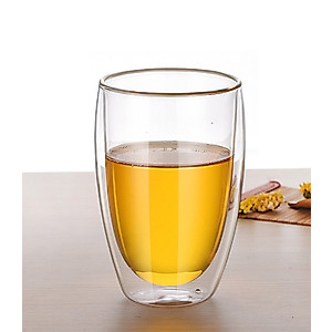 Zaoniy 12 oz Double-wall Glass Tea & Coffee Cup Mug W/Lid and Tea, Heat Resistant, Easy to Brew and Clean