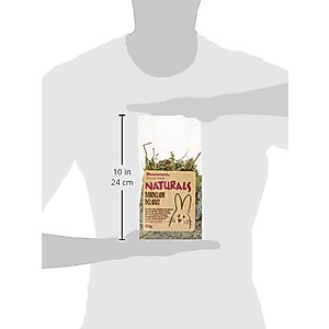 Rosewood Pet 1 Pouch Dandelion Delight Food For Small Animals, 100G