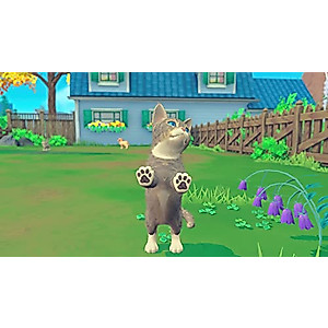 My Universe: Pets Edition (NSW)