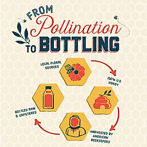 Local Hive Clover Honey Blend 16oz