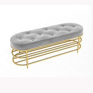 TAZSJG Shoe Stool with 2 Layers Shoe Rack Shelf Sofa Cushion Entrance Door Shoe Cabinet Shoe Stool Storage Stool (Color : A)