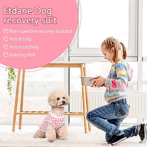 Etdane Dog Recovery Suit for Female Male Dog Onesie for Surgery Dog Surgical Suit After Spayed Dog Neuter Body Suits Fit Small Medium Dog with Pee Hole Pink Plaid/Hear/Large