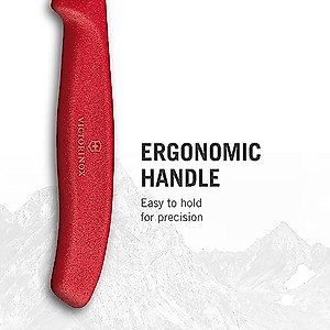 Victorinox Swiss Army 6.7111.6G Swiss Classic Knife Set Red Set of 6