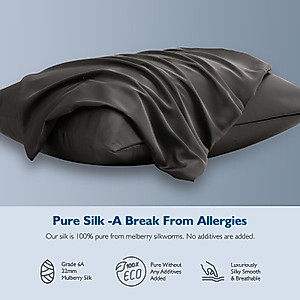 Dafinner 100% Mulberry Silk Pillowcases Queen Size, Set of 2 Black Silk Pillow Cases, Hair and Skin Friendly, Hidden Zipper, Gifts for Women Men, 2 Pack, 20x30 Inches, Moonless Night Black