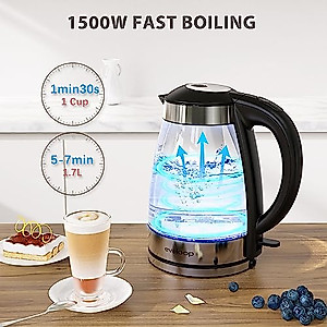 Evoloop Electric Tea Kettle 1.7L Hot Water Boiler, 1500W Glass Water Kettle with Auto Shut-Off & Boil Dry Protection, BPA Free, Cordless Base & LED Indicator
