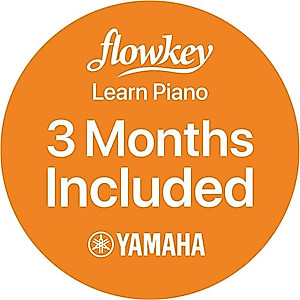 Yamaha YPT270 61-Key Portable Keyboard With Power Adapter (Amazon-Exclusive),Black