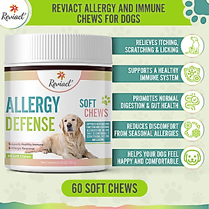 Reviact Allergy and Immune Chews for Dogs – Itch and Allergy Relief for Dogs with Probiotics, Digestive Enzymes – Pet Allergy Chews for Gut and Immune Support – Chewable Dog Allergy Treats - 60 Count