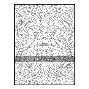 100 Amazing Patterns: An Adult Coloring Book with Fun, Easy, and Relaxing Coloring Pages