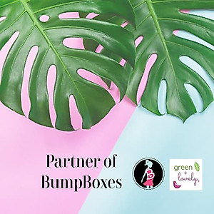 Green+Lovely Nipple Balm Organic Nature's Herbal Breastfeeding Cracked Nipples Soother Nursing Crack Ointment Essential Stick, Silky Calendula Infused, Pregnancy Essential, 2 x 0.5 oz Gift Set