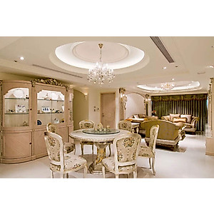 LAOYEBAOHE E14 Cooker Hood Bulbs European Base,Range Hood Light Bulbs AC110V-130V for Refrigerator Cooker Hood Sewing Machine light Daylight White, 4-Pack