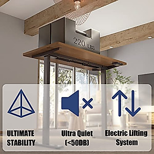 AITERMINAL Dual Motor Standing Desk Frame, Electric Adjustable Standing Desk Legs for Office Home (Black Frame + Motors + Control Panel)