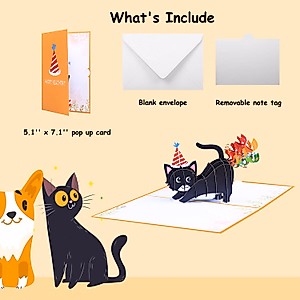 ROBBEAR Funny Cat Pop Up Birthday Card, Funny 3D Birthday Cards for Adults and Kids with Envelopes, Handmade Gifts for Cat Mom, Dad, Friend and Every Cat Lover