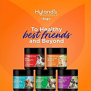 Hyland's Naturals - Pro Skin Health for Dogs, 90 Soft Chews, Supports Healthy Skin, Seasonal Allergies & Immune System, with Probiotics & Omega-3s, Trout Flavor