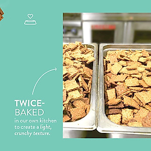 CRAFTED BY HUMANS LOVED BY DOGS Portland Pet Food Company Bacon Brew Biscuit Dog Treats (1 Pack, 5 oz Bag) – All Natural, Human-Grade, USA-Sourced and Made