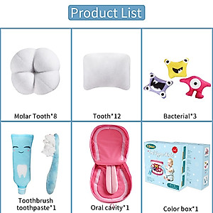 KAKIBLIN Educational Plush Toy, Preschool Educational Plush Toys for Kids, Teaching Kid How to Protect Teeth and Learning What in Their Oral