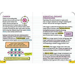 Workman Publishing Company - To Ace Biology in One Big Fat Notebook