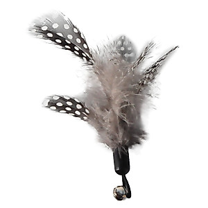 EcoCity Cat Toys - No Chemical Dyeing Cat Feather Toys for Indoor Cats - Include Cat Wand and Natural Feather Refills