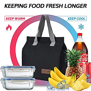 TELLUMO Lunch bag, Insulated Lunch Bag for Women Men Large Lunch Box Container Reusable Leakproof Tote for Office, Work, School, Beach or Travel (Dark)