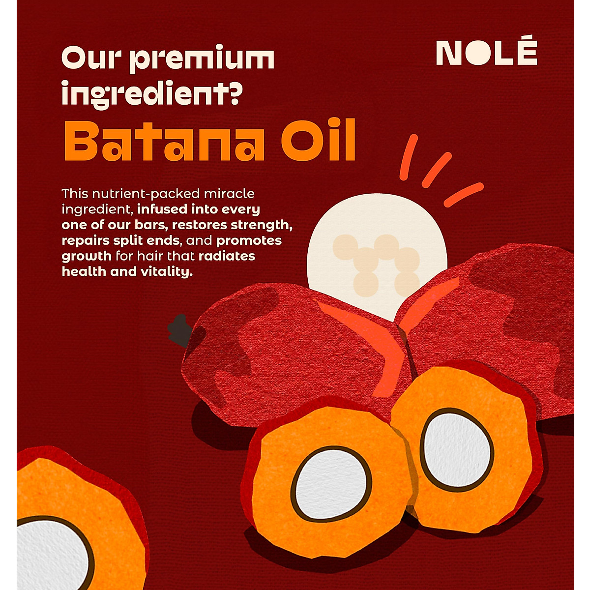 NOLE CARE Travel Size Shampoo and Conditioner Bar Set with Batana Oil - Sustainable, PH Balanced, Discovery Set, Plastic-Free, Color-Safe, Eco-Friendly, Solid Sustainable Bars, Zero Waste, 2.5 oz Bar