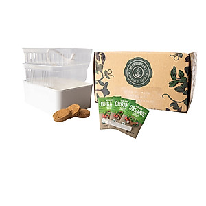 Organic Indoor Microgreens Growing Kit - Grow Purple Radish, Spicy Salad, & Broccoli Microgreens - Includes Self Watering Tray, Coco Coir Soil, Humidity Dome, Spray Bottle, White Surround Display Tray