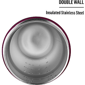 BlenderBottle Strada Sleek Shaker Cup Insulated Stainless Steel Water Bottle with Wire Whisk, 25-Ounce, Flamingo Ombre