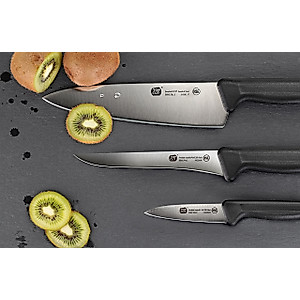 Top Cut by Cangshan | P2 Series 1022056 Swedish Sandvik 14C28N Steel Boning Knife, 6-Inch