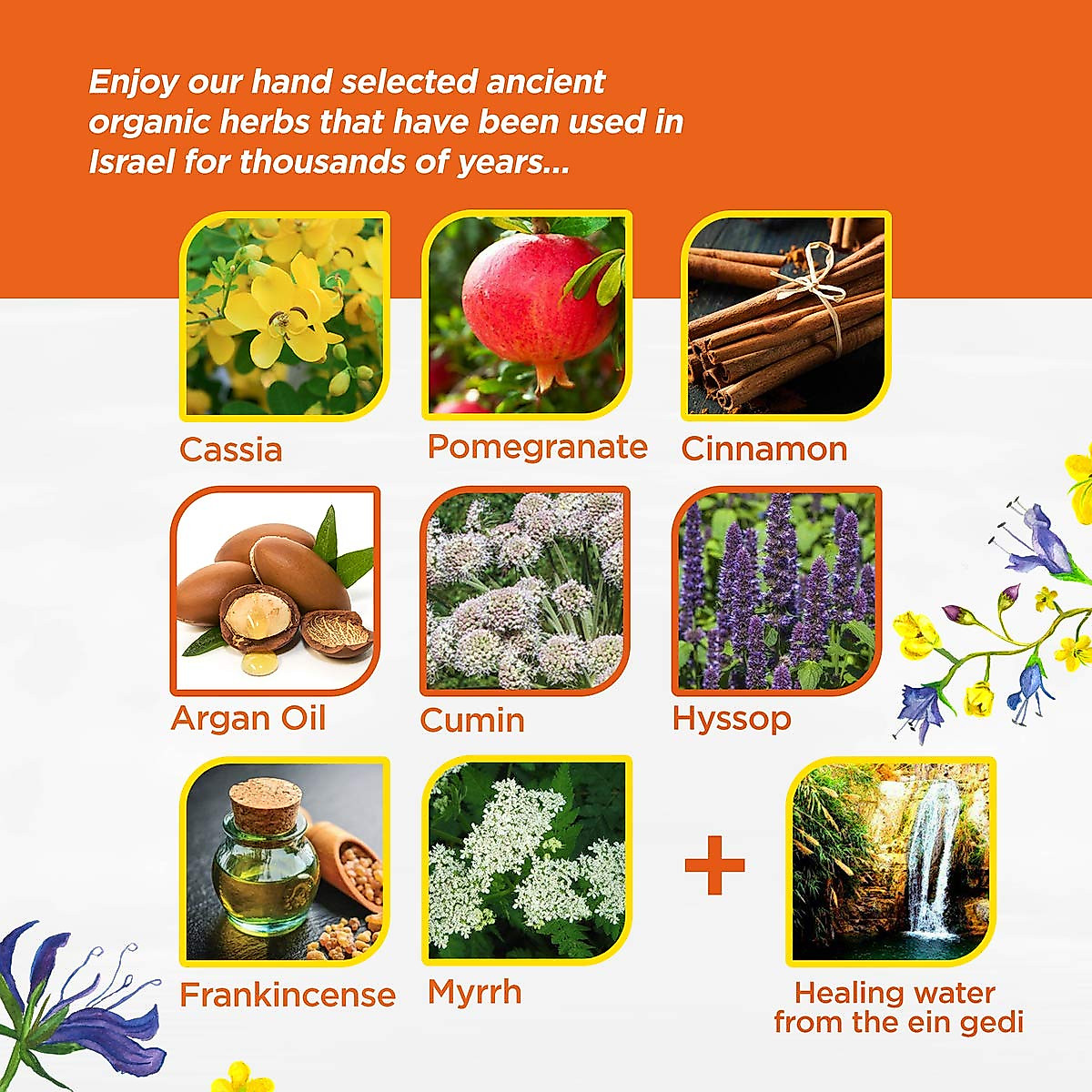 Organic Shampoo and Conditioner Set - My Israel's Miracle - Powerful Organic Haircare Herbs and Argan Oil from Israel