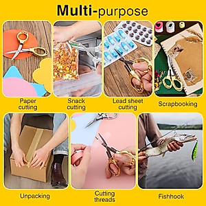 Nogeqi 2 Pcs Folding Scissors Portable Travel Scissors Stainless Steel Mini Scissors Retractable Small Scissors All Purpose for Sewing Fishing Crafts DIY Home Office Christmas Gift Men(Gold, Silver)