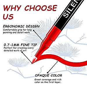 SILENART Paint Pens for Rocks. Acrylic Paint Pens Paint Markers for Wood, Canvas, Mentol, Plastic, Glass, Fabric. Set of 12 Paint Markers Fine Tip, Including Portable Bag