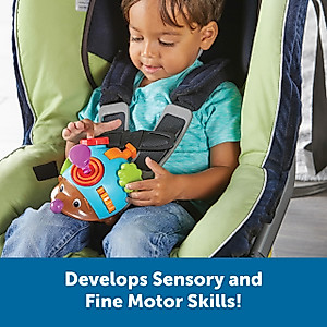 Learning Resources Spike the Fine Motor Hedgehog Fidget Friend -Ages 18+ months Fine Motor and Sensory Play Toy,Educational Toys for Toddlers, Toddler Montessori Toys