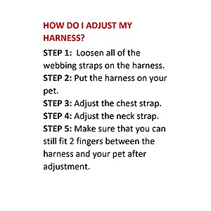 Voyager Step-in Air All Weather Mesh Harness and Reflective Dog 5 ft Leash Combo with Neoprene Handle, for Small, Medium and Large Breed Puppies by Best Pet Supplies - Set (Baby Blue), M