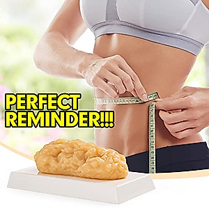 Ultrassist Human Body Fat Model, 1lb Fat Replica, Anatomical Model for Students, Authentic Demonstration for Fitness Room