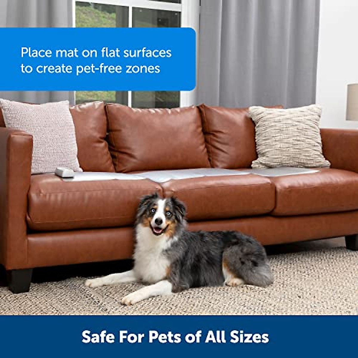 PetSafe ScatMat Indoor Training Mat, Sofa, 60 in X 12 in