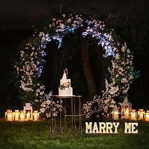 HEOMU 7.3FT Round Backdrop Stand Circle Balloon Arch Stand, Metal Wedding Flower Ring Arch Stand Wedding Arches for Ceremony, Birthday Party, Baby Shower, Graduation Backdrop Decoration, Gold