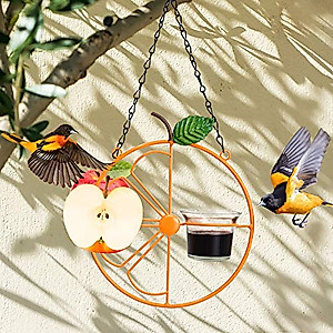 ALLADINBOX Oriole Bird Feeder, 17 inch Hanging Metal Bird Feeder,Detached Bowl Design,Orange Fruit Feeder,Great for Garden,Outdoor,Gift