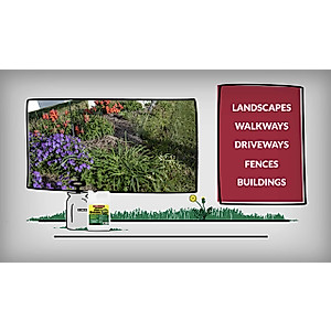 Compare-N-Save 75324 Herbicide, 1-gallon, white