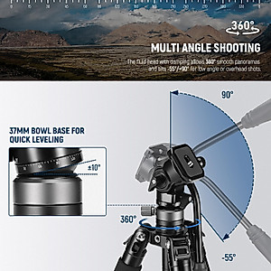 NEEWER 61.4" Video Travel Tripod with +/-10° Leveling Base Fluid Head (⌀37mm), Compact Metal Camera Tripod Stand with Quick Release Reversible Legs & Detachable Center Column, Arca Plate, TP61