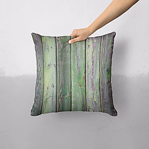 iiRov Mossy Green Wooden Planks - Custom Decorative Home Decor Indoor or Outdoor Throw Pillow Cover for Sofa, Bed or Couch Cushion (Pillow CASE Cover ONLY)
