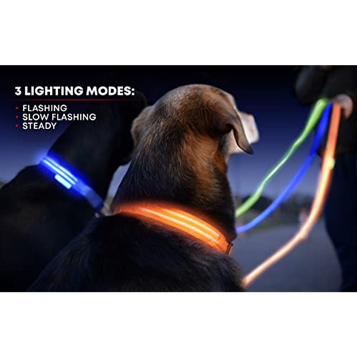 Illumiseen LED Dog Collar USB Rechargeable - Bright & High Visibility Lighted Glow Collar for Pet Night Walking - Weatherproof, in 6 Colors & 6 Sizes (Green Large)