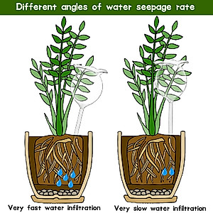 Haawooky Self Watering Globes,Clear Glass Plant Water Bulbs,Hand Blown Automatic Plant Waterer Device for Indoor Outdoor Plants,3 Pack