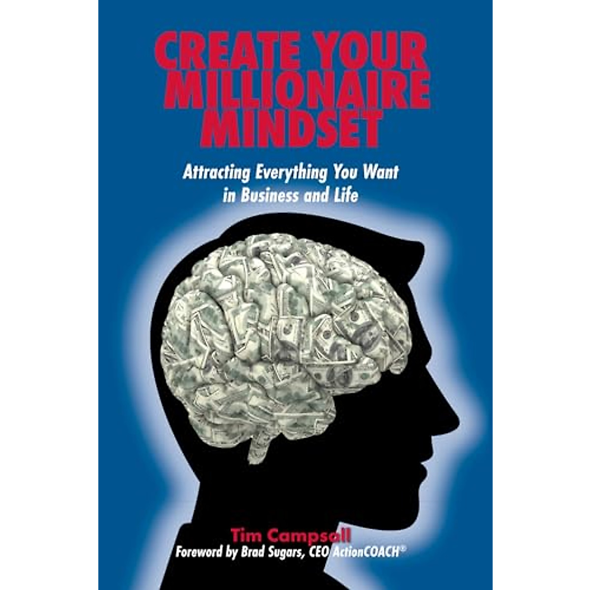 Create Your Millionaire Mindset: Attracting Everything You Want in Business and Life